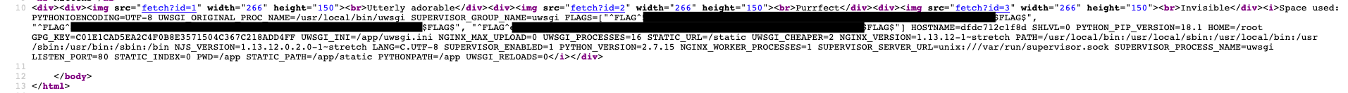 Hacker 101 CTF: Photo Gallery
