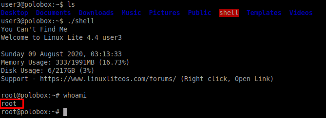 Tryhackme Walkthrough A Common Linux Privilege Escalation